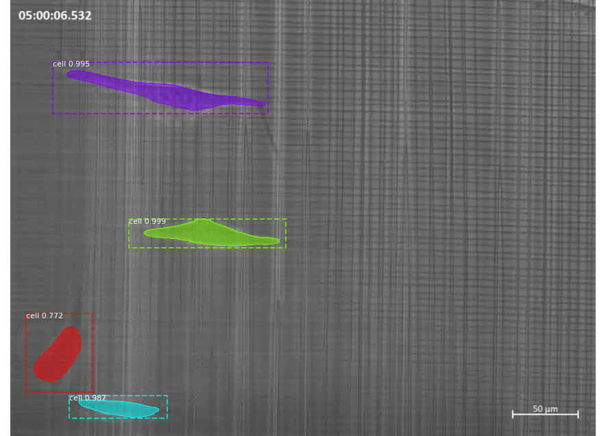 celltracker: a fast and efficient method to analyze live cell videos by ...